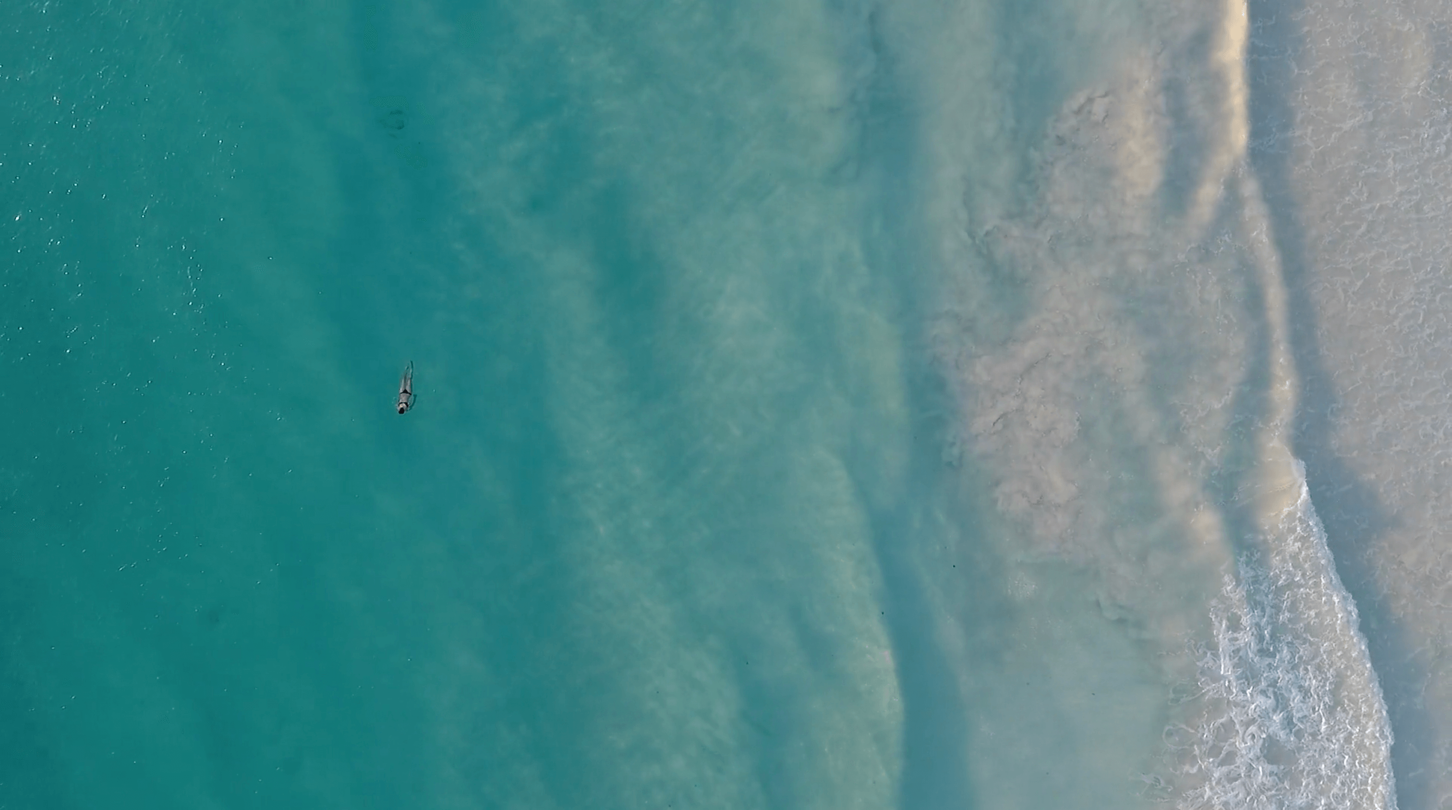 Island Poké | Best Poké Bowls in London | Vegan Poké | DIY Poké Kits